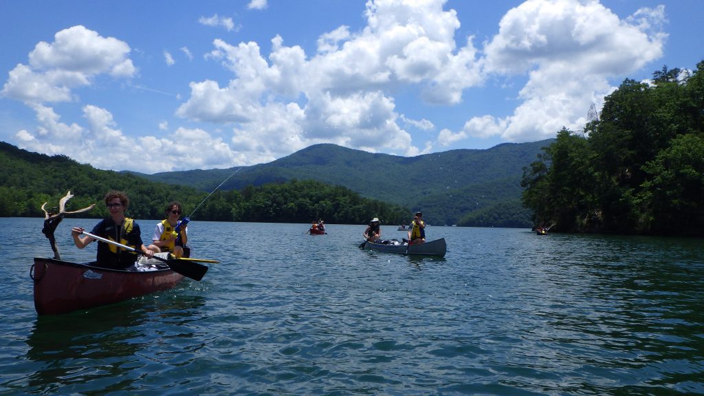 Summer in the Smokies