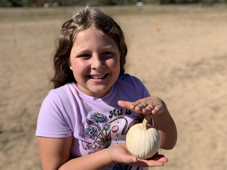 A Festive Fall Day At Blackburn Farm In Lenoir City
