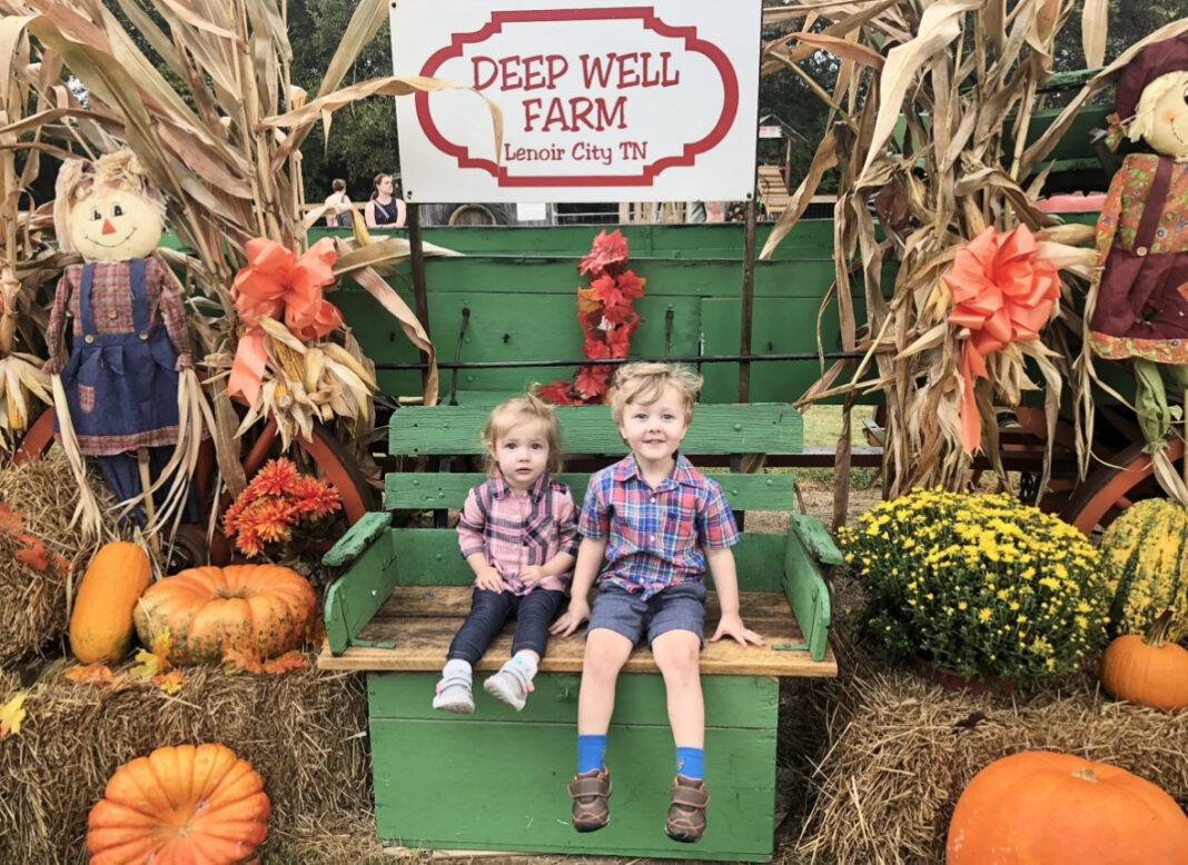 Fall Fun At Deep Well Farm Pumpkin Patch In Lenoir City